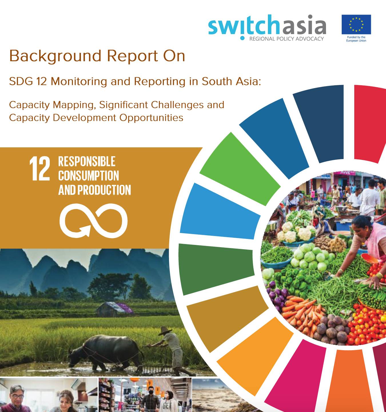SDG 12 Monitoring and Reporting in South Asia – NCPC